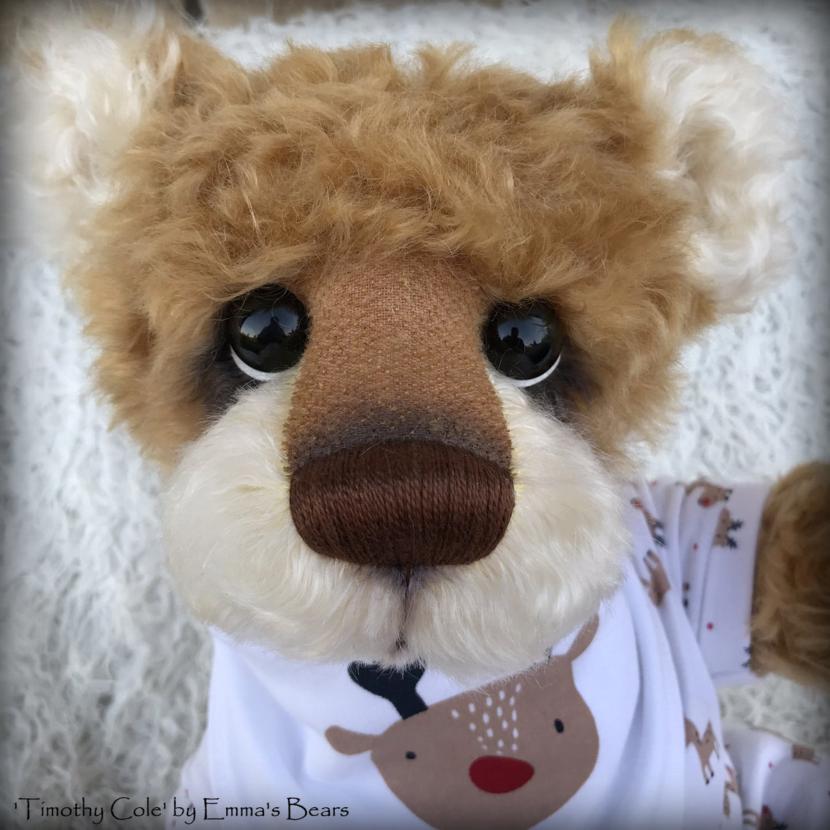 Timothy Cole - 21" Christmas 2018 Toddler Artist Bear by Emma's Bears ...